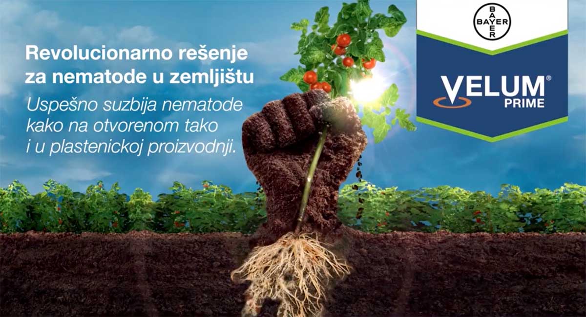 Revolucionarno rešenje za nematode u zemljištu - Agro saveti